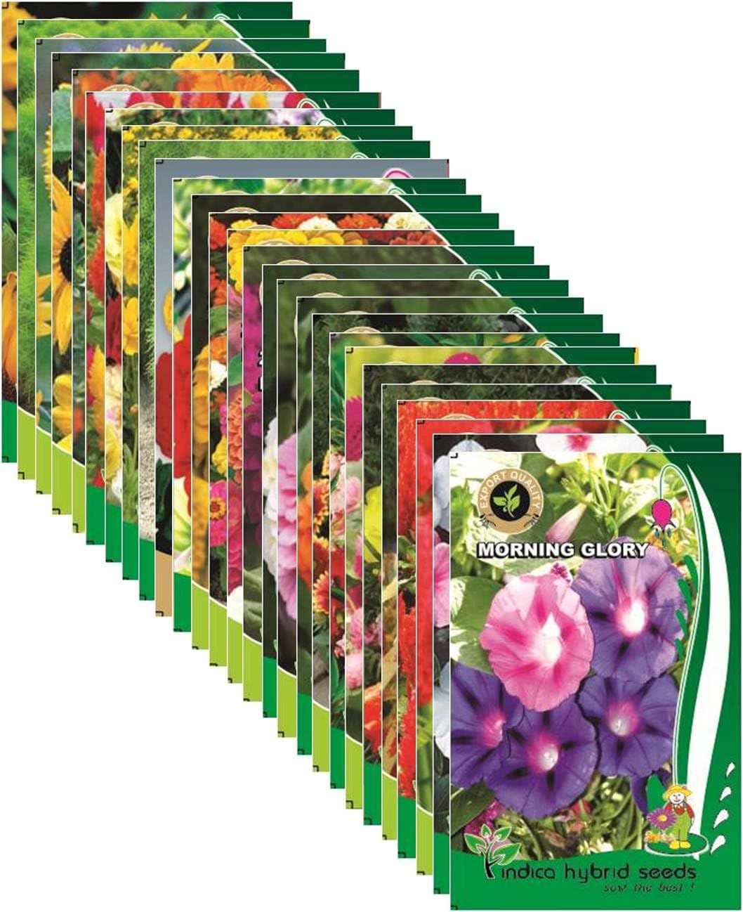 FLARE SEEDS India's Most popular Flower Seeds Outdoor Combo of 50 ...