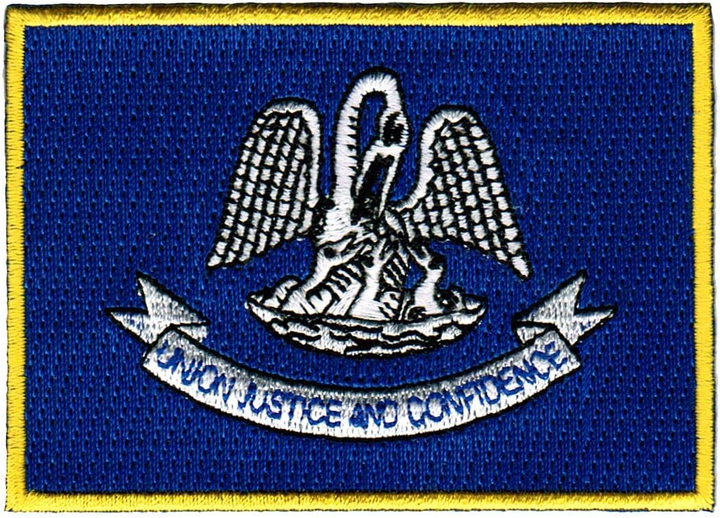 Amazon.com: Minnesota State Flag Embroidered Patch Velcro®-Brand ...