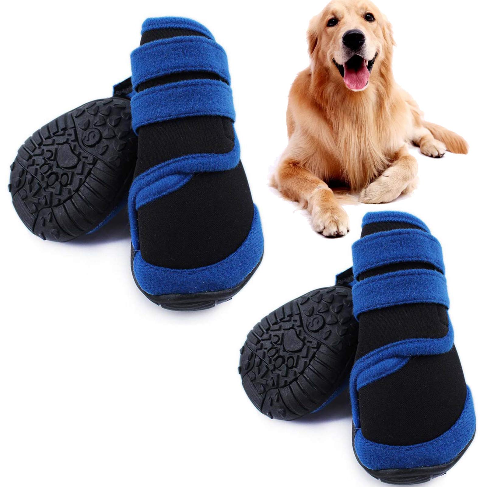 Perro Puede Usar Zapatos