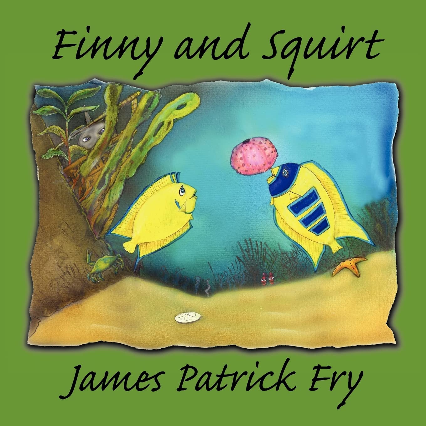 Finny and Squirt: Fry, Jim: 9781425911799: Amazon.com: Books