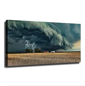 Amazon.com: Tornado Lightning Category Field Severe Weather Poster ...