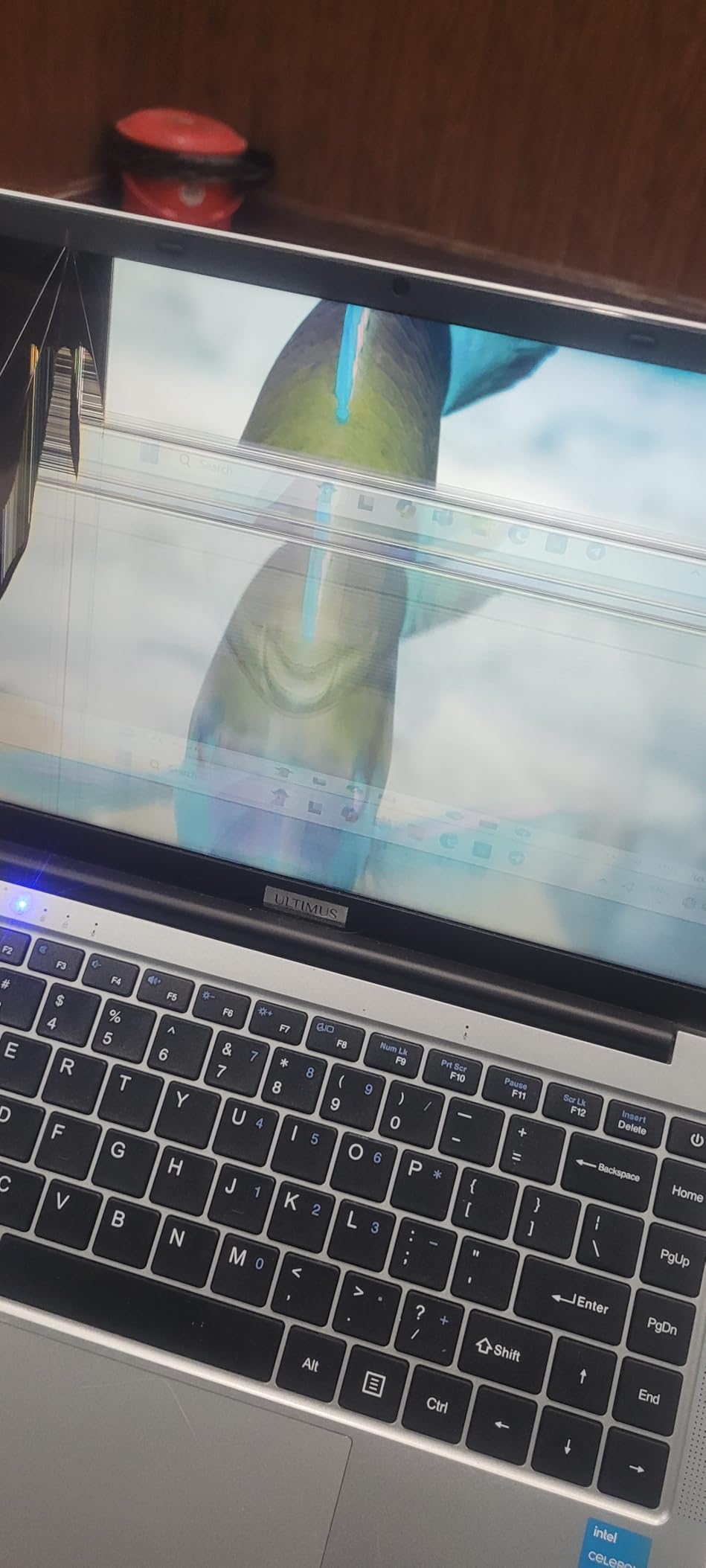 ULTIMUS APEX Laptop Intel Celeron Dual Core 8 GB LPDDR4 512 GB SSD ...