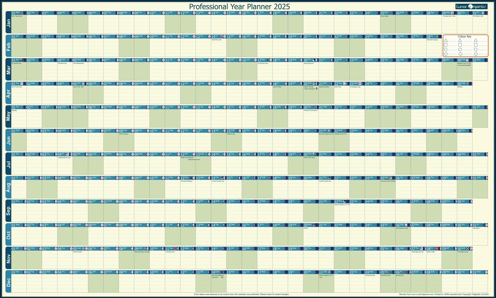 Professional Year Wall Planner 2025 : Amazon.co.uk: Stationery & Office ...