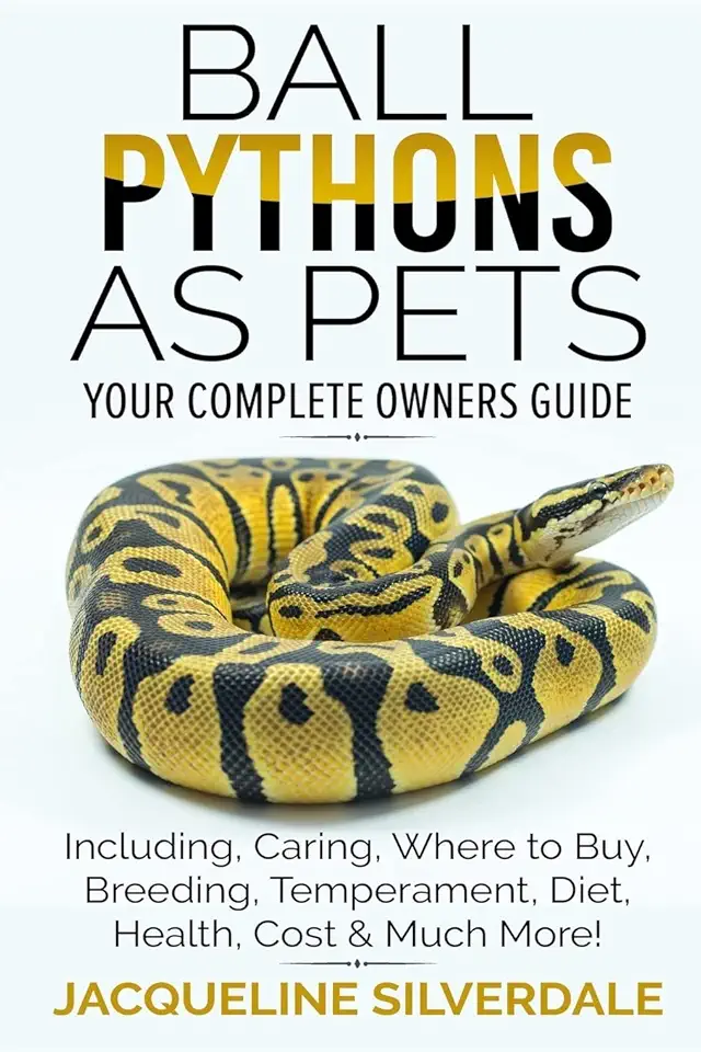 Why Are Ball Pythons So Friendly: Understanding Their Docile Nature ...
