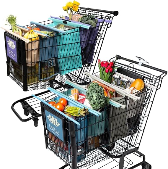 Amazon.com: Lotus Trolley Bag -set of 4 -w/LRG COOLER Bag & Egg/Wine ...