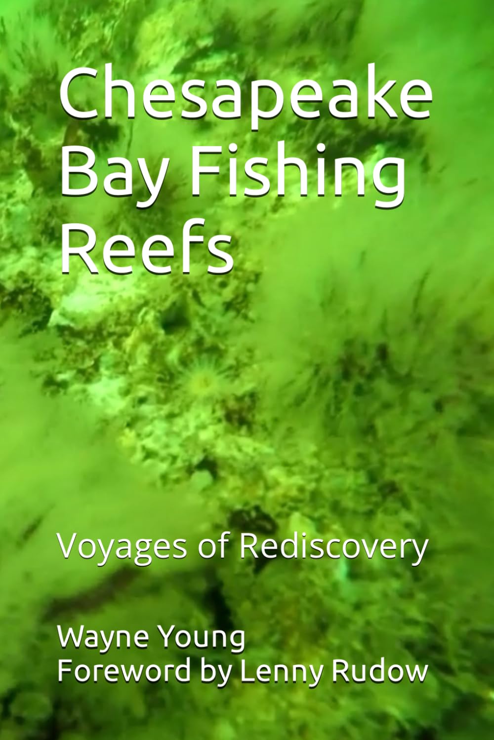 Chesapeake Bay Fishing Reefs: Voyages of Rediscovery: Young, Wayne ...