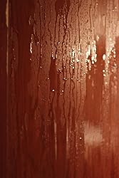 Amazon.com: Delta Creative Ceramcoat Prep All Purpose Sealer (2-Ounce ...