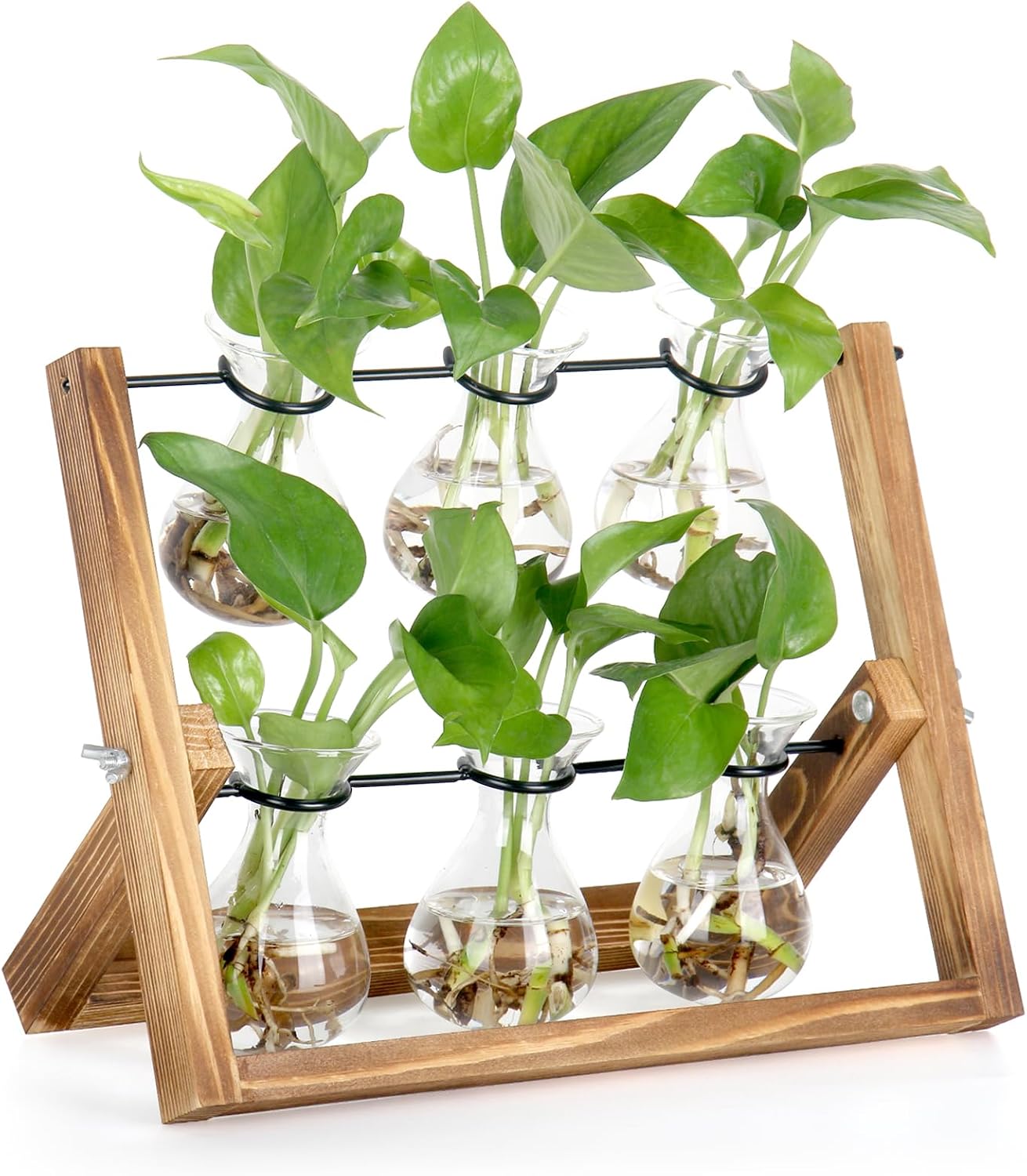 Amazon.com: Plant Propagation Stations, 2 Tiered Propagation Stations ...