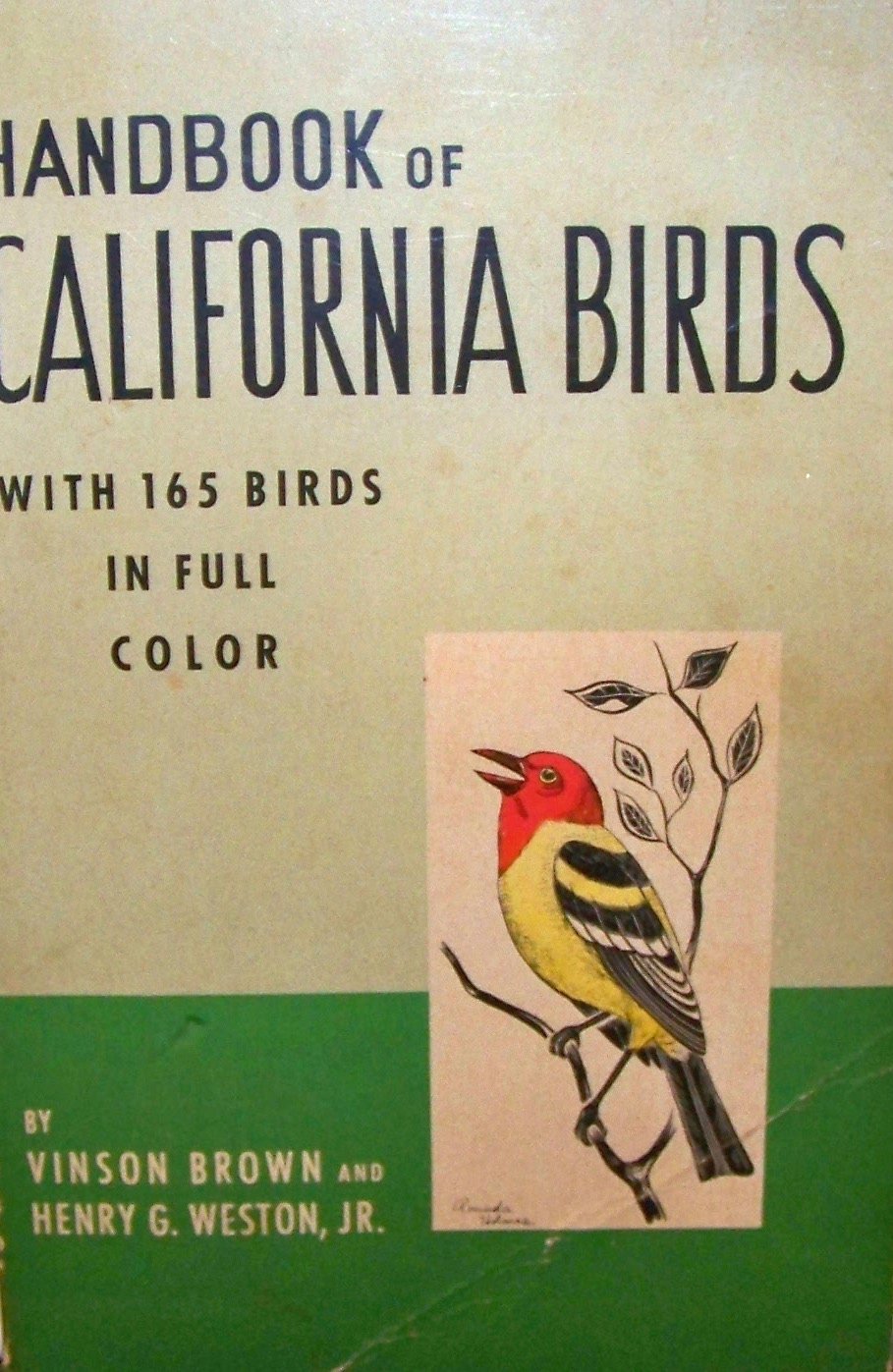 Handbook of California Birds: unknown author: Amazon.com: Books