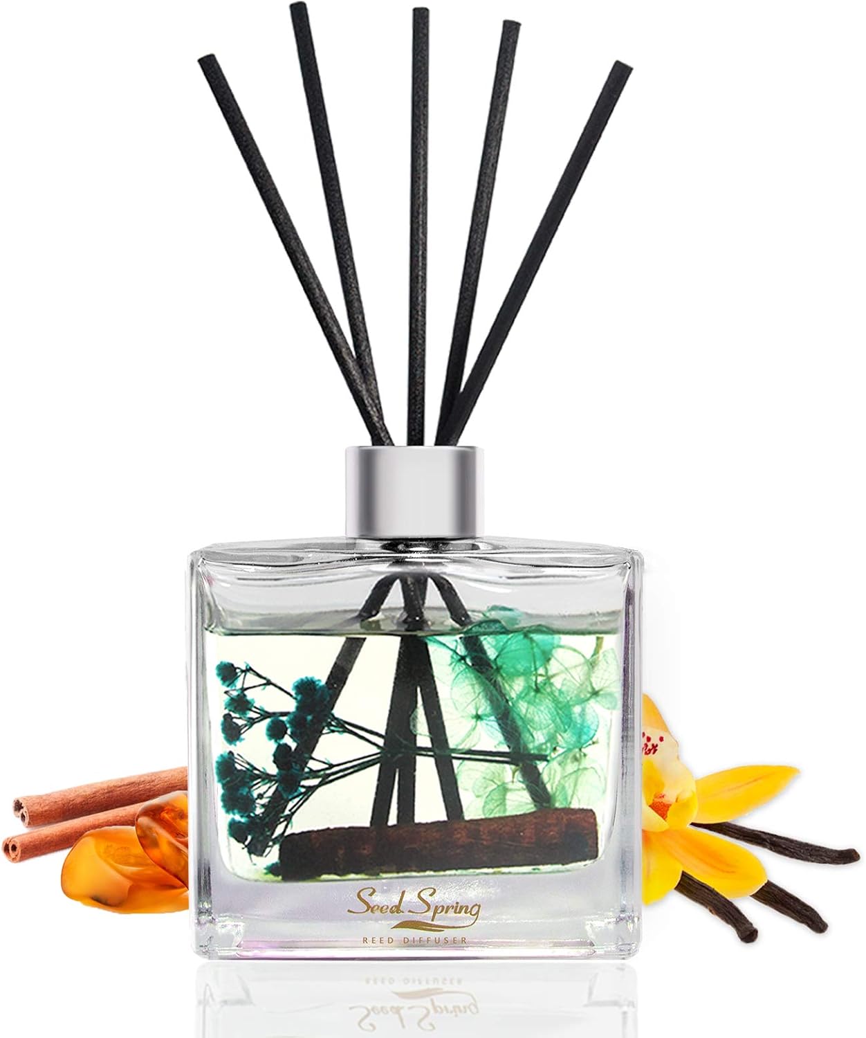 Amazon.com: Seed Spring Reed Diffuser Scented Oil Diffuser Set with ...