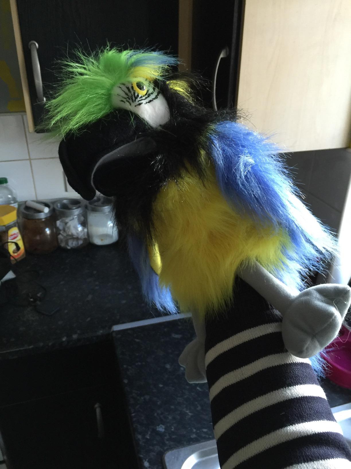 The Puppet Company - Baby Birds - Blue & Gold Macaw Hand Puppet ...