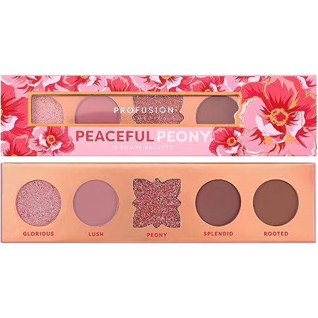 Amazon.com : Profusion Cosmetics Mini Artistry 10 Shade Eyeshadow ...