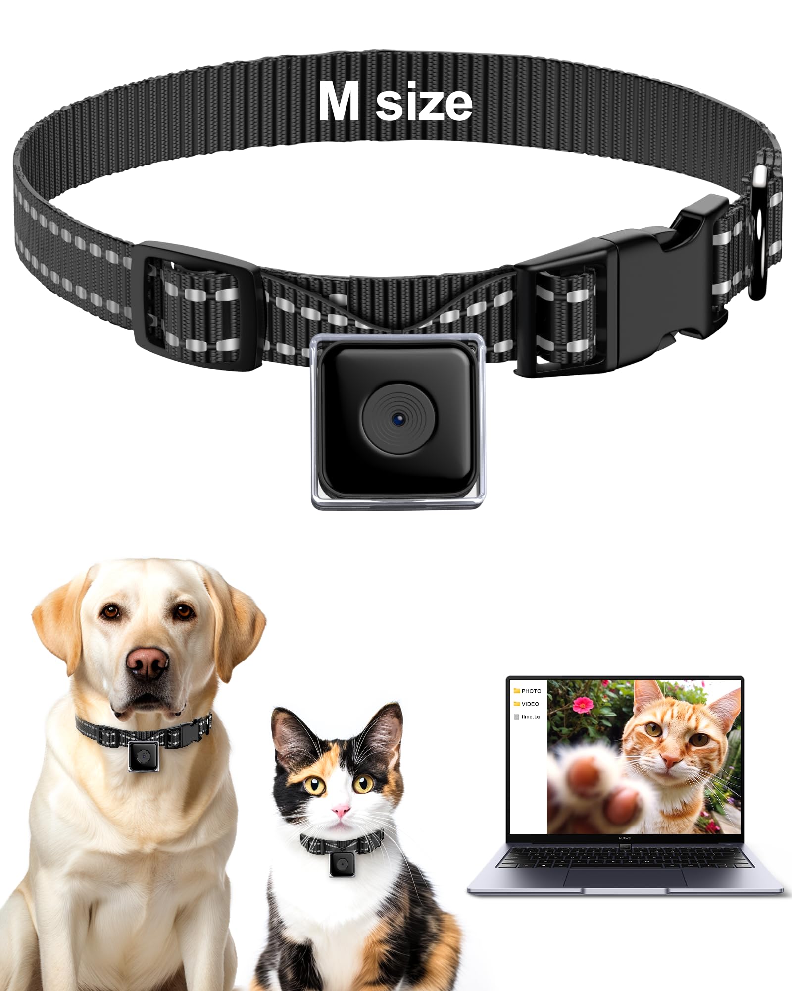 Amazon.com: LuminiCam Cat Camera Collar, Direct Recording Camera for ...