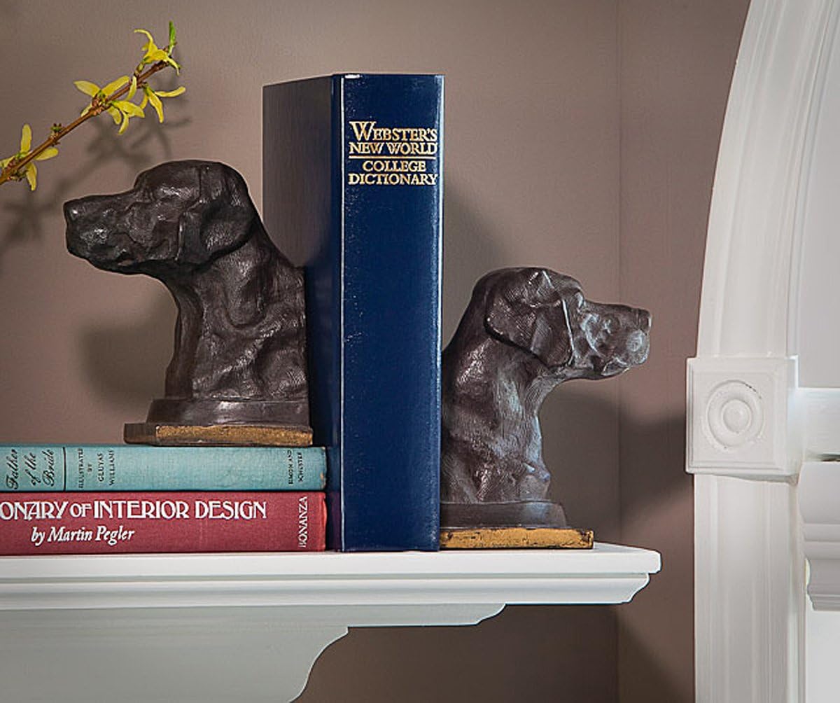 Amazon.com: Decorative Bookends - Labrador Retriever Bookends - Bronze ...