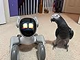 Amazon.com: Loona: Your Adorably Intelligent Petbot - Chat GPT-4o Enabled with Voice Command ...