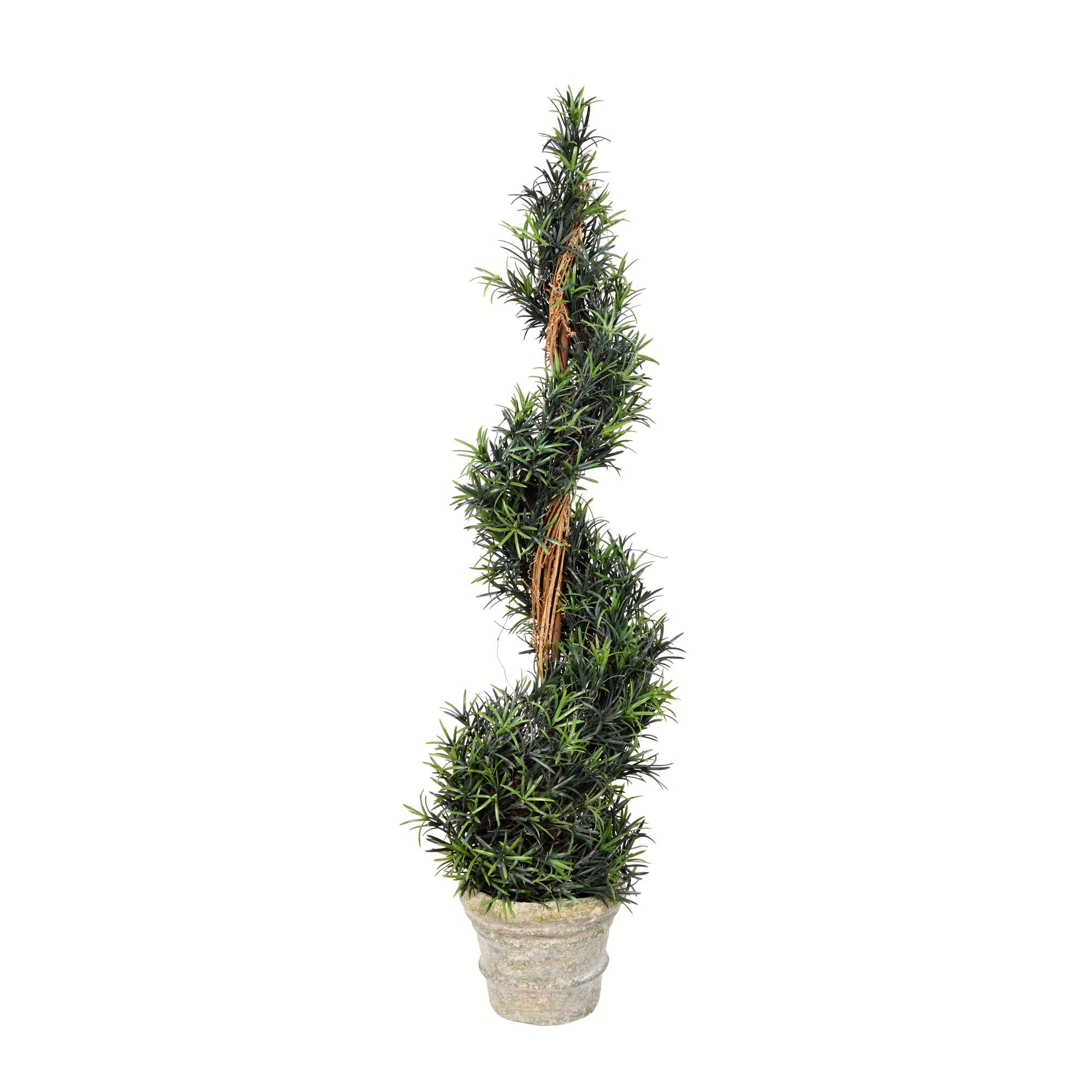 Rosmarin Spiral Topiary