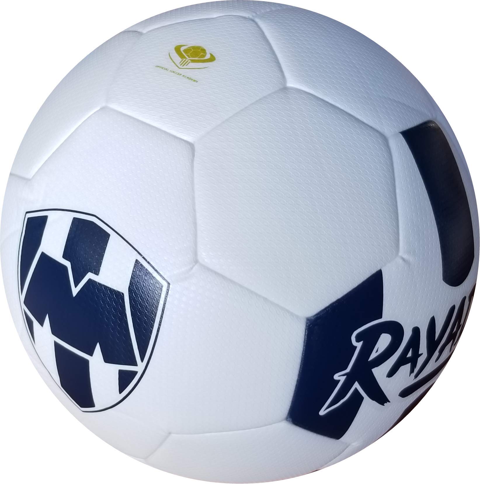 Snapklik.com : ELT CF Monterrey Rayados Hybrid Official Soccer Ball ...
