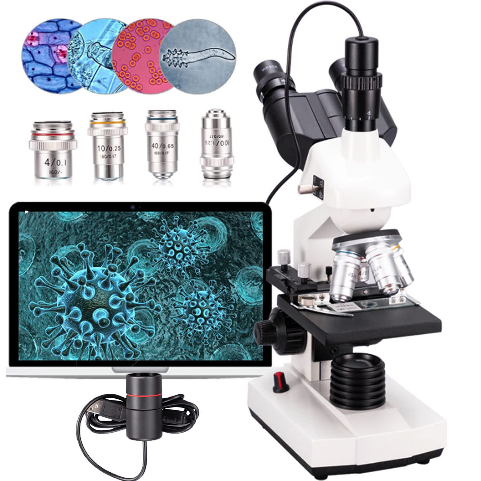 Buy 2000x Compound Trinocular Micro,Wf10x&Wf16x Eyepieces, Research ...