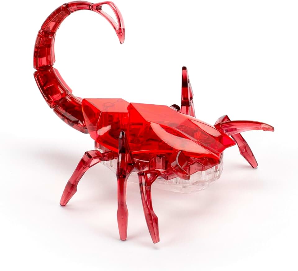 Amazon.ca: Hexbug