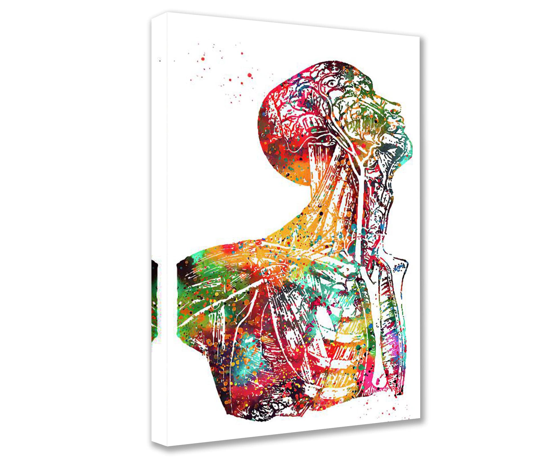 Abstract Anatomy Art Physical Therapist Fanatics FridayStuff