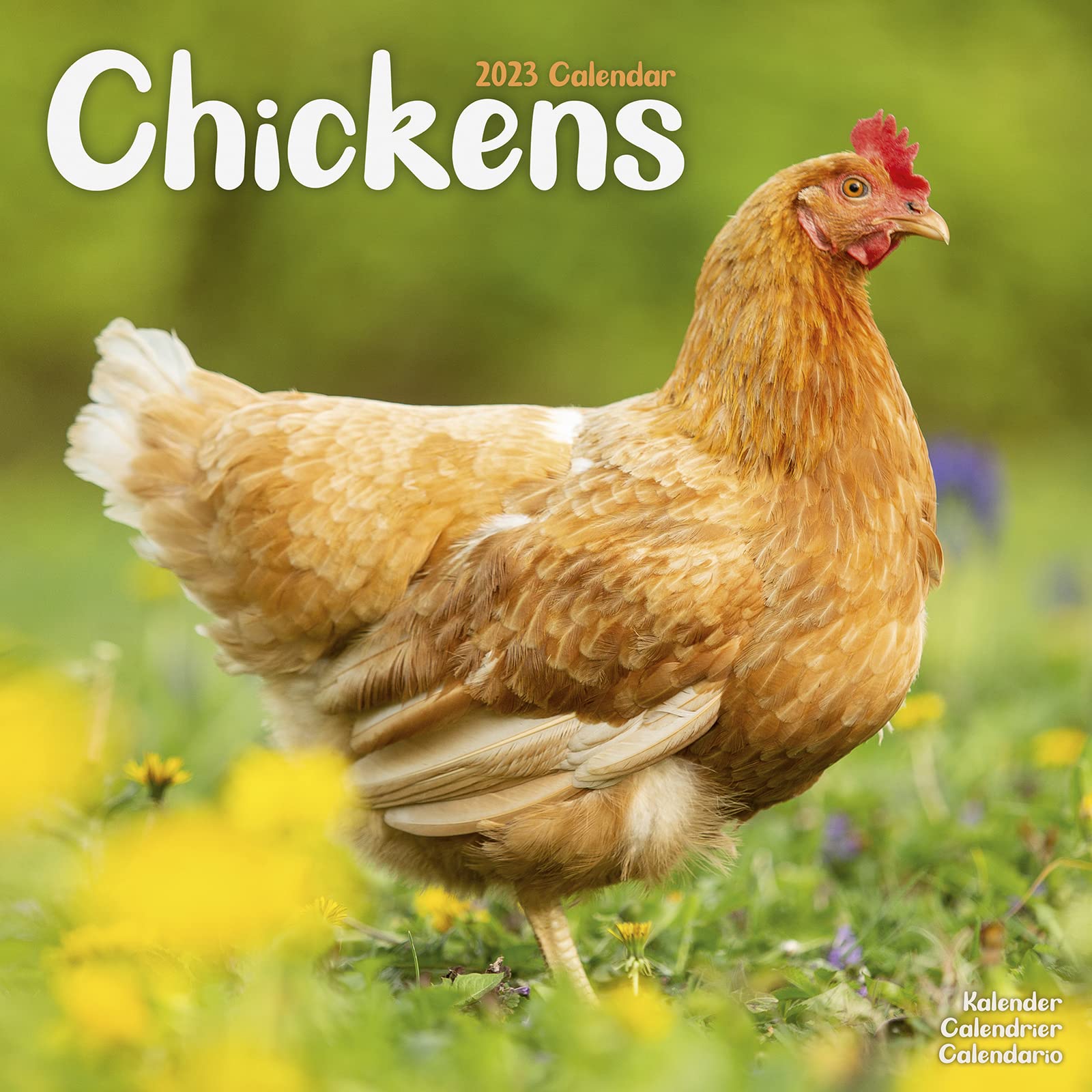 Chickens Calendar - Calendars 2022 - 2023 Wall Calendars - Animal ...