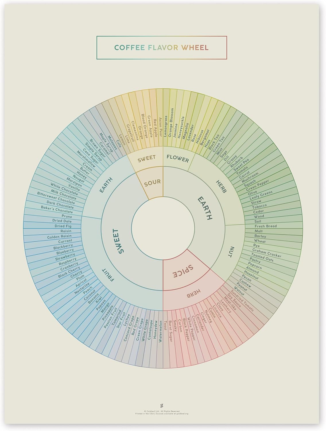 Amazon.com: Goldleaf Coffee Flavor Wheel Chart Print - Coffee Flavors ...