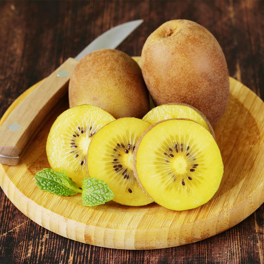 Amazon.com : QAUZUY GARDEN 20 Golden Kiwifruit Kiwi Gooseberry Seeds ...