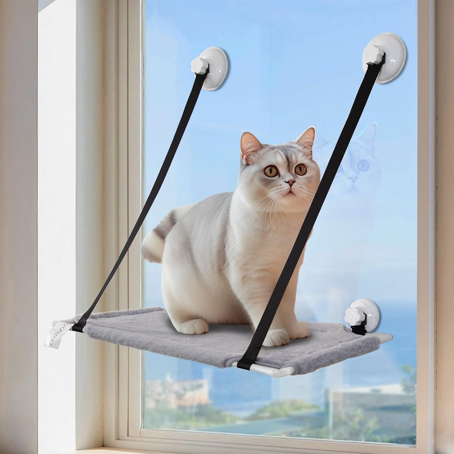 Amazon.com : Kitgo Cat Window Perch, Cat Window Hammock for Indoor Cat ...