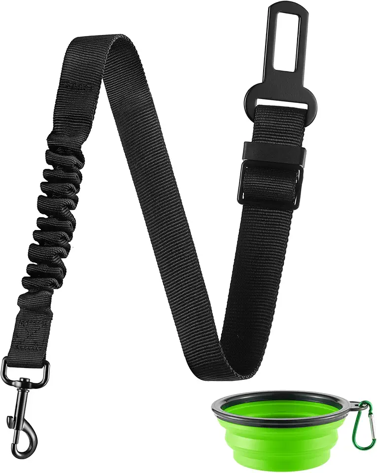 The Best Places To Purchase A Sable Pet | PetShun