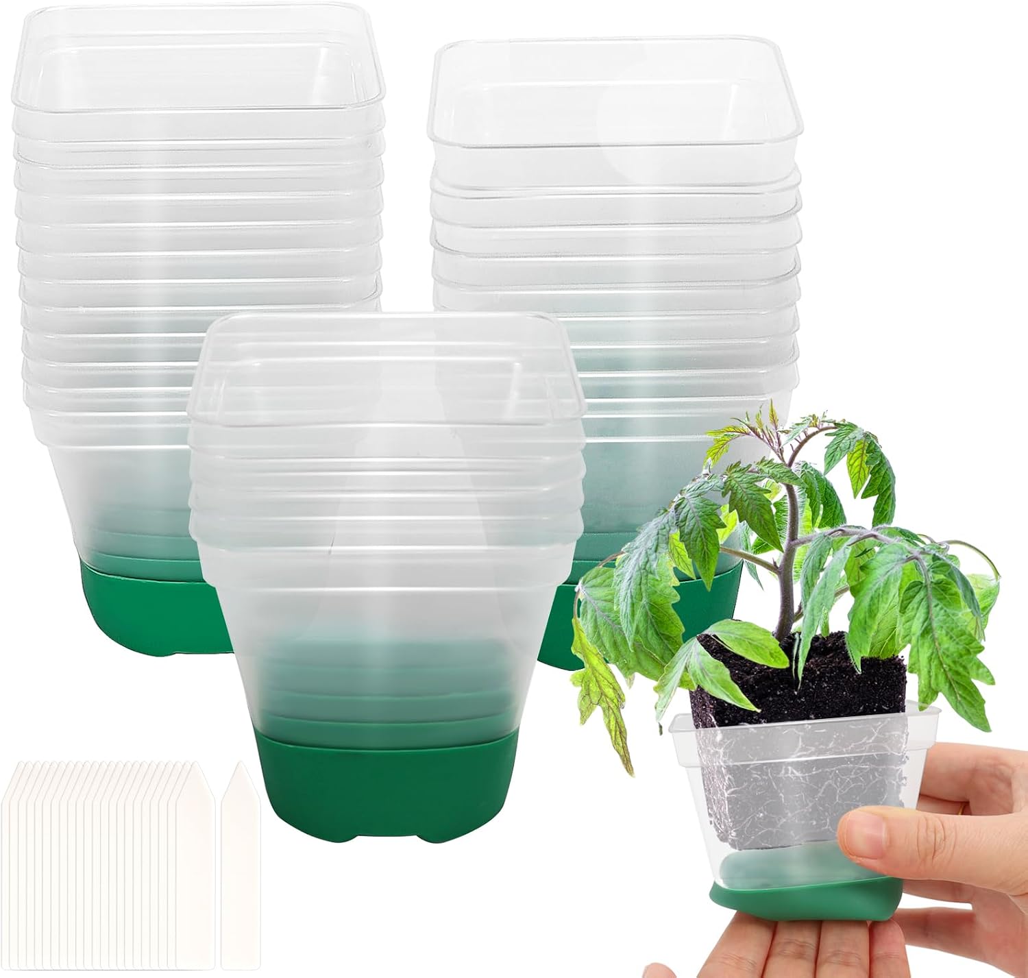 Amazon.com: 26 Packs Nursery Plant Pots with Silicone Base,3 inch Clear ...