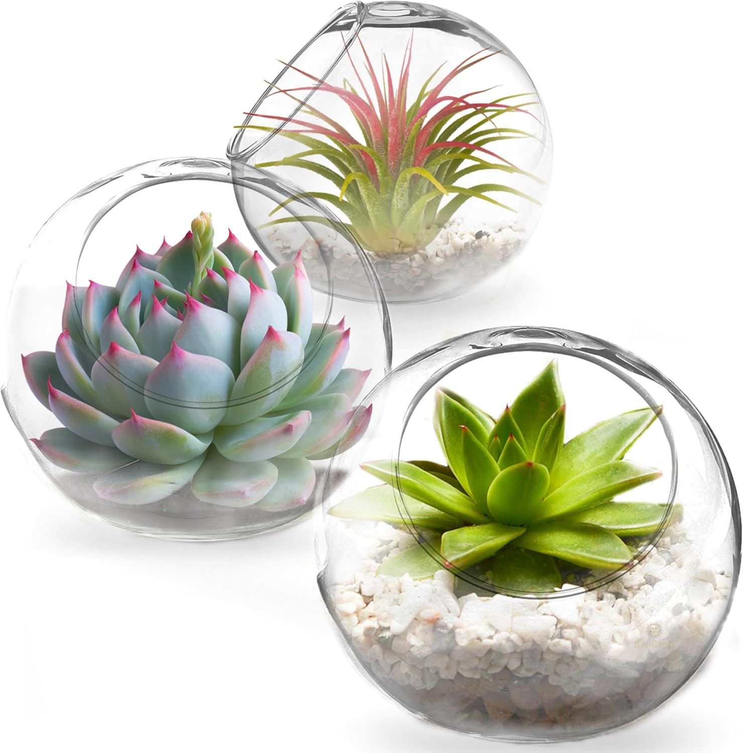 Amazon.com: SunGrow Tabletop Containers : Patio, Lawn & Garden