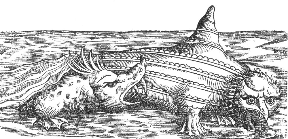 Sea Monster Drawing