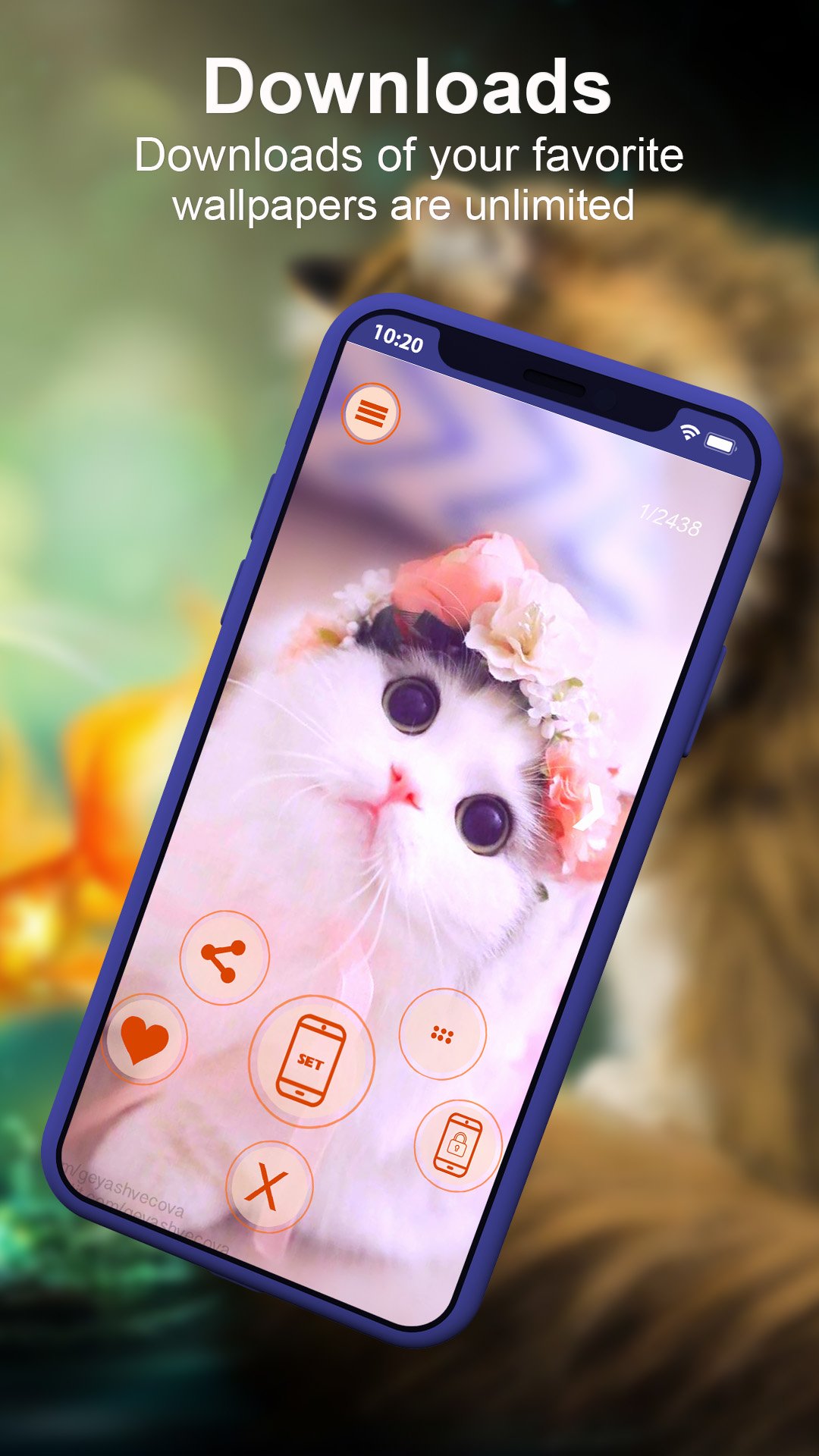 Lively Cute Cat Wallpaper 4K:Amazon.in:Appstore for Android