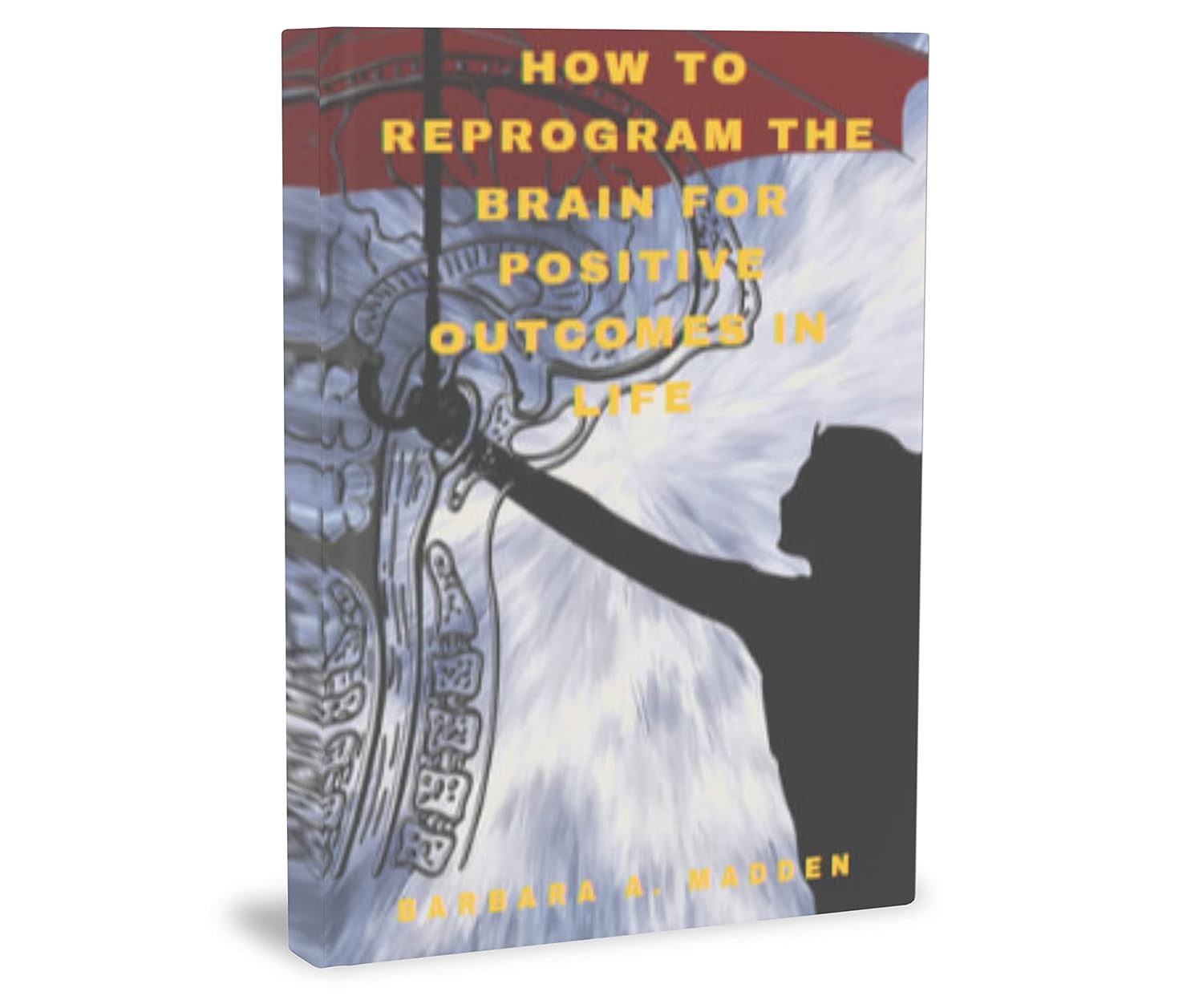 Amazon.com: How to Reprogram the Brain for Positive Outcomes in Life ...