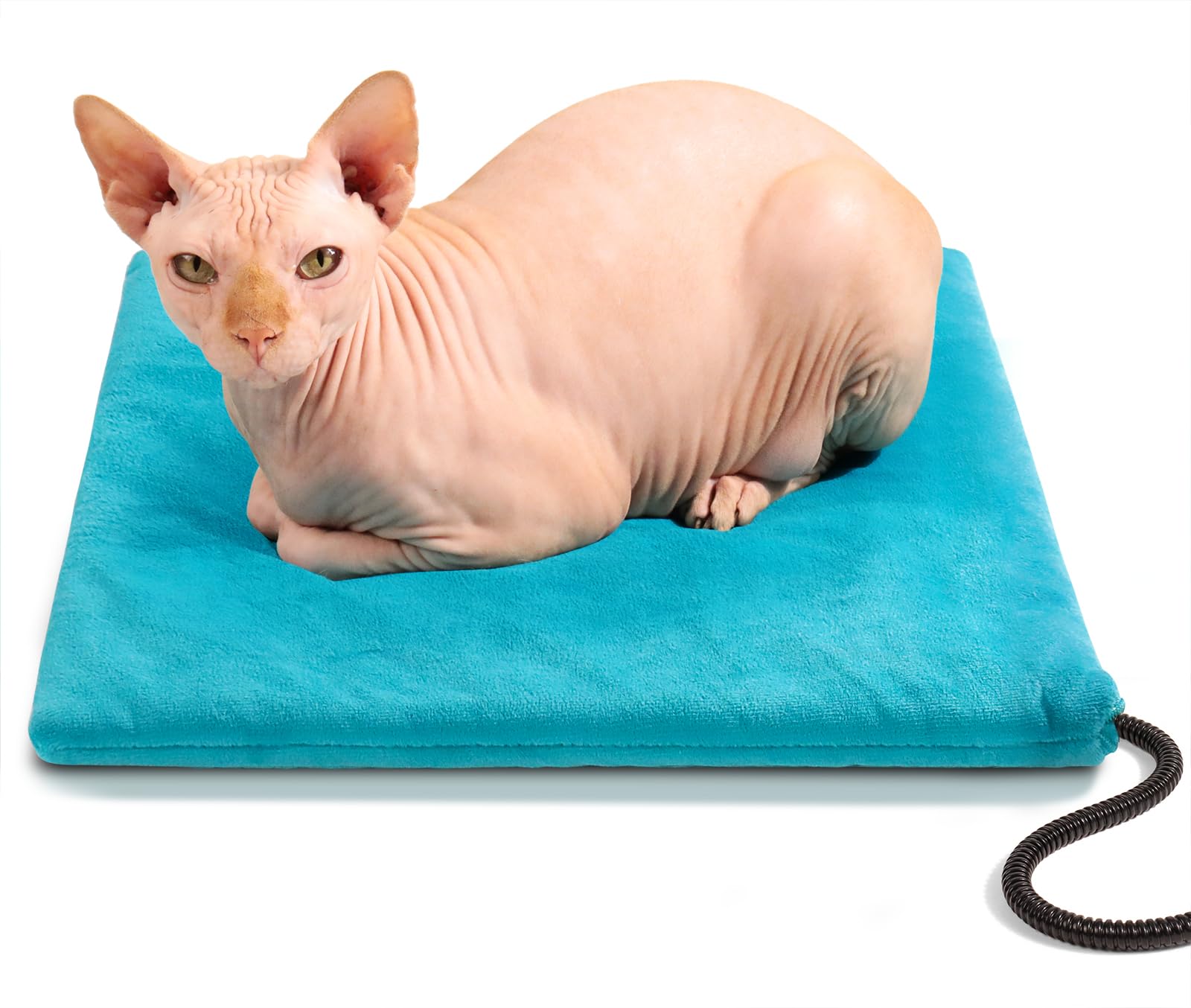 Amazon.com : Pet Heating Pad, Outdoor Indoor Electric Heated Pad for ...