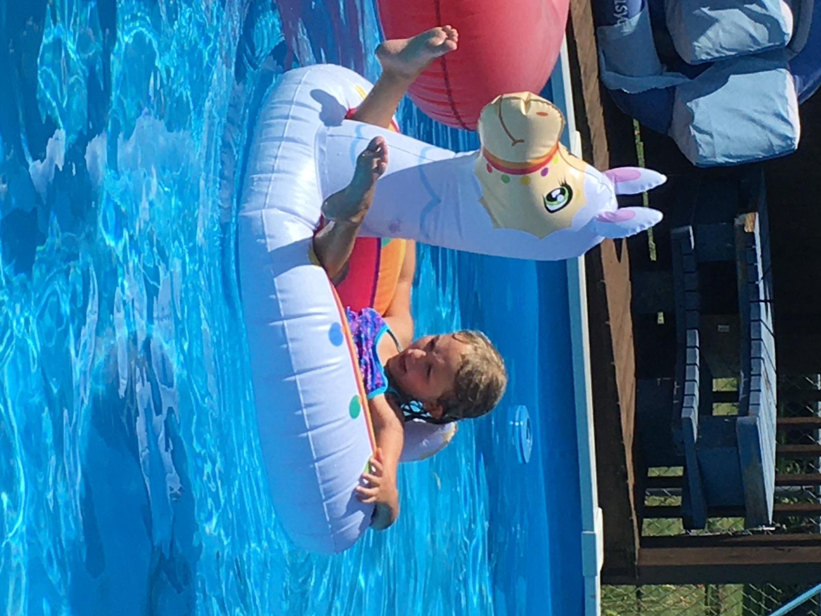 Amazon.com: JOYIN Inflatable Pool Float Unicorn & Llama Design (2 Pack ...