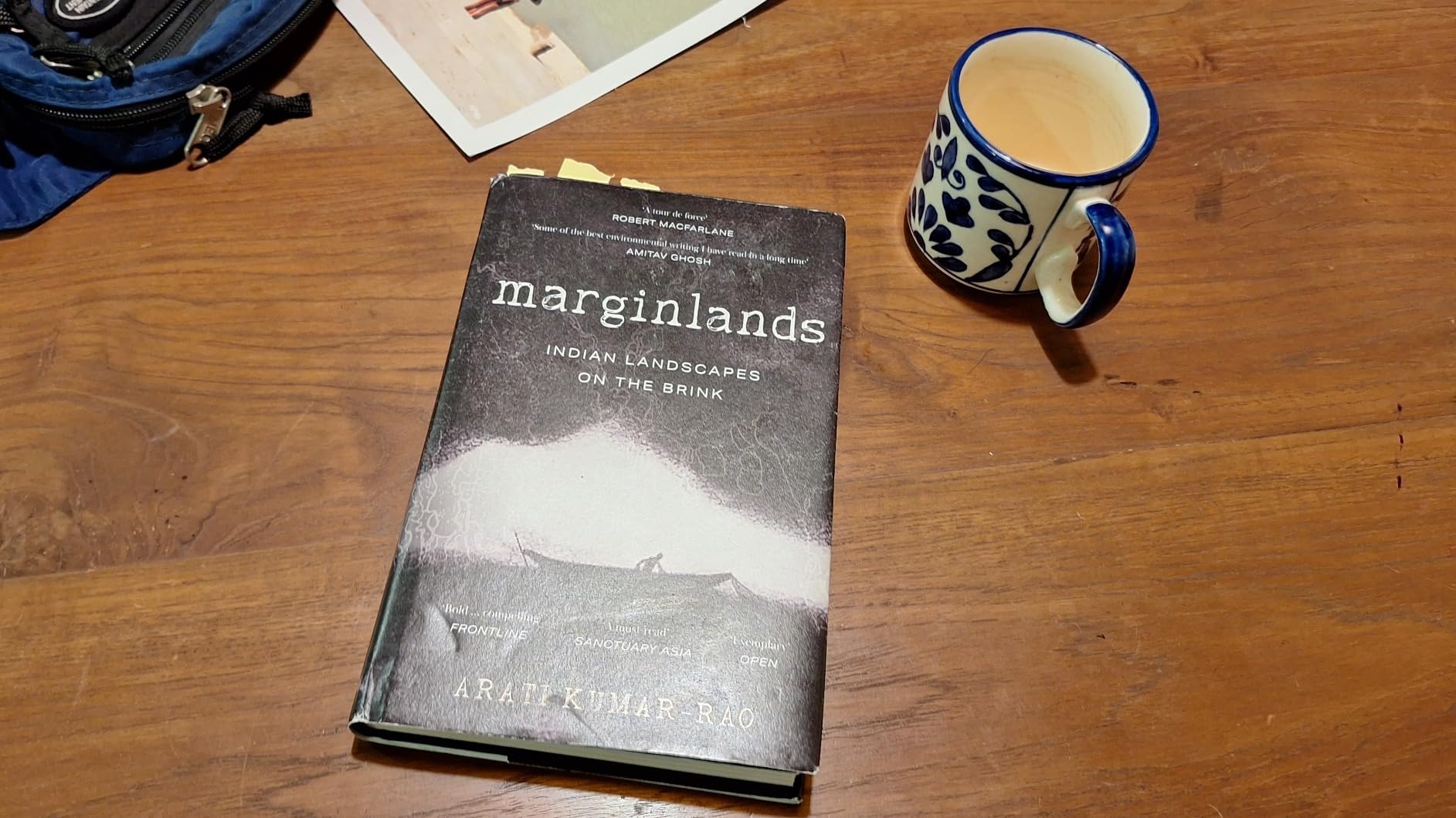 Buy Marginlands - PB: Indian Landscapes on the Brink – Winner of the 2024 Publishing Next ...
