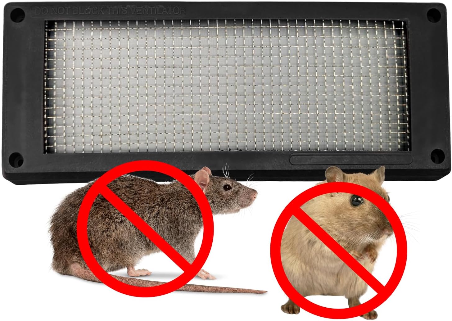 Pest Proofing Air Brick Cover by Mouse - Mouse & Insect Control ...