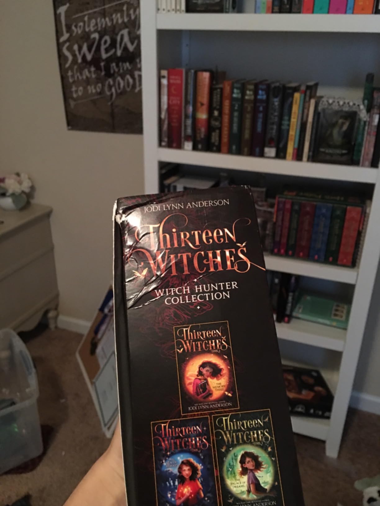 Thirteen Witches Witch Hunter Collection (Boxed Set): The Memory Thief ...