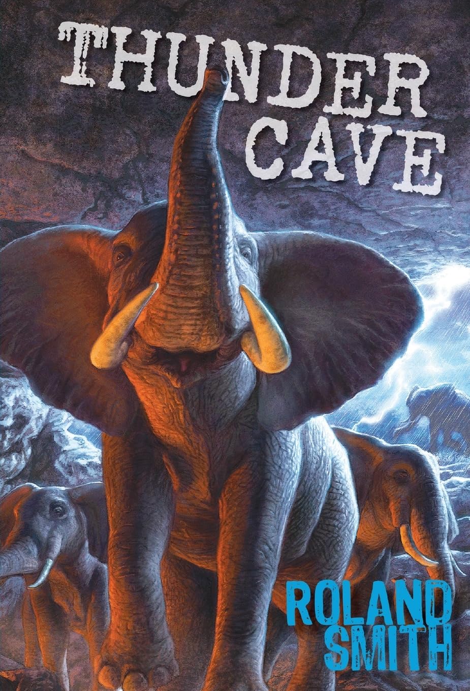 Amazon.com: Thunder Cave (Thunder Cave, 1): 9780786811595: Smith ...