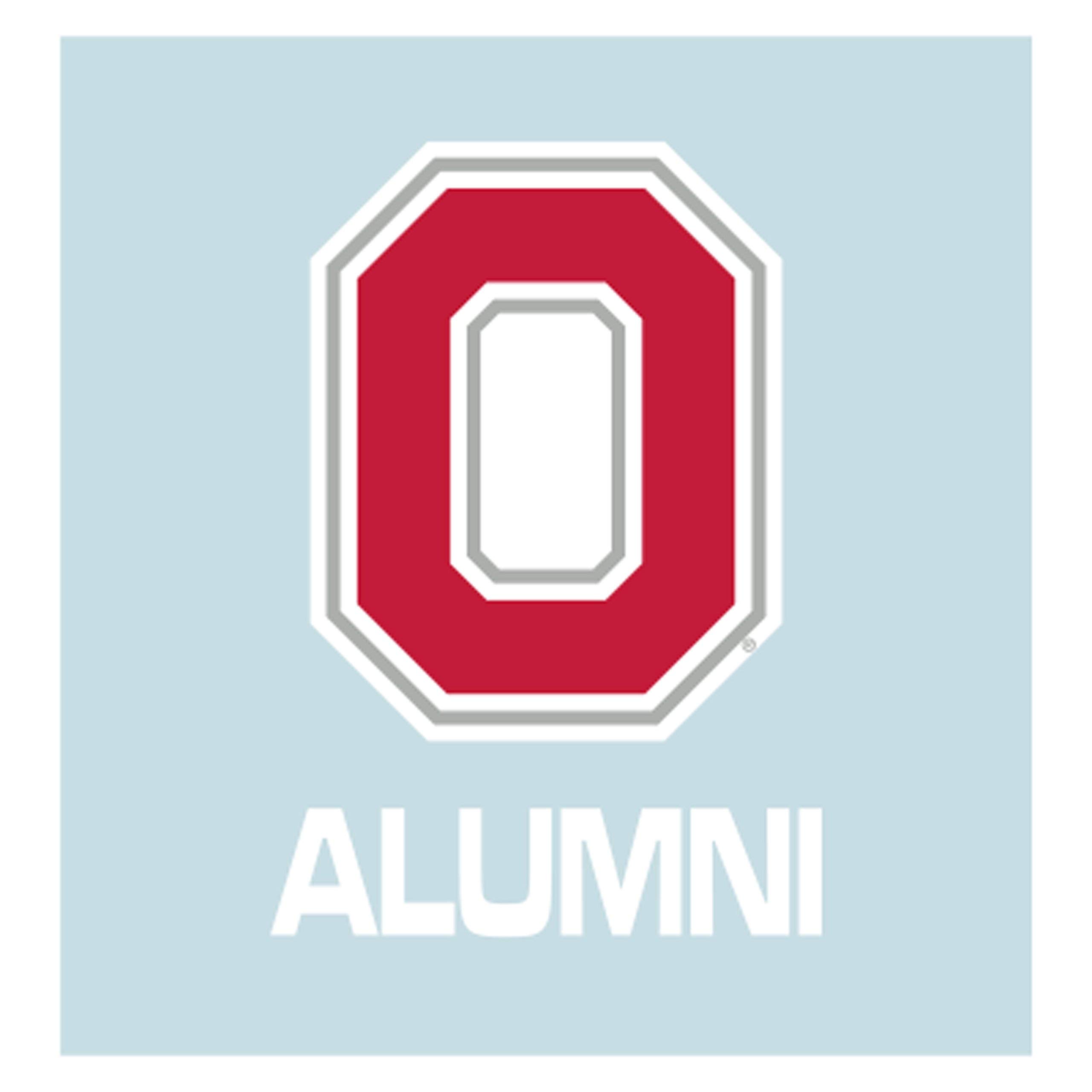 Amazon.com: Craftique Ohio State University Decals (Ohio ST Alumni (5 ...
