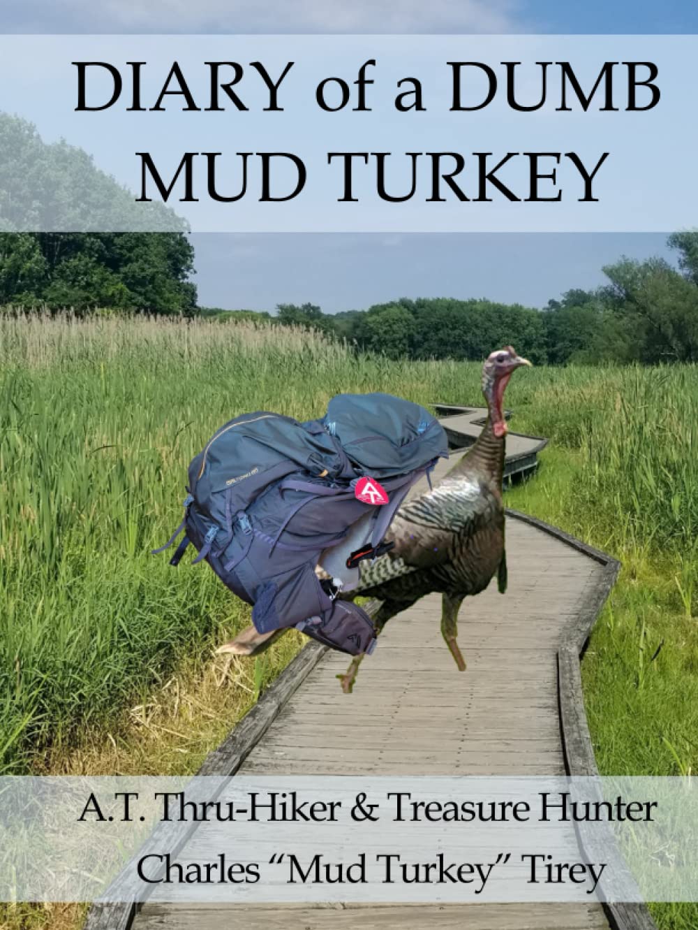 Diary of a Dumb Mud Turkey: A.T. Thru-Hiker & Treasure Hunter: Tirey ...