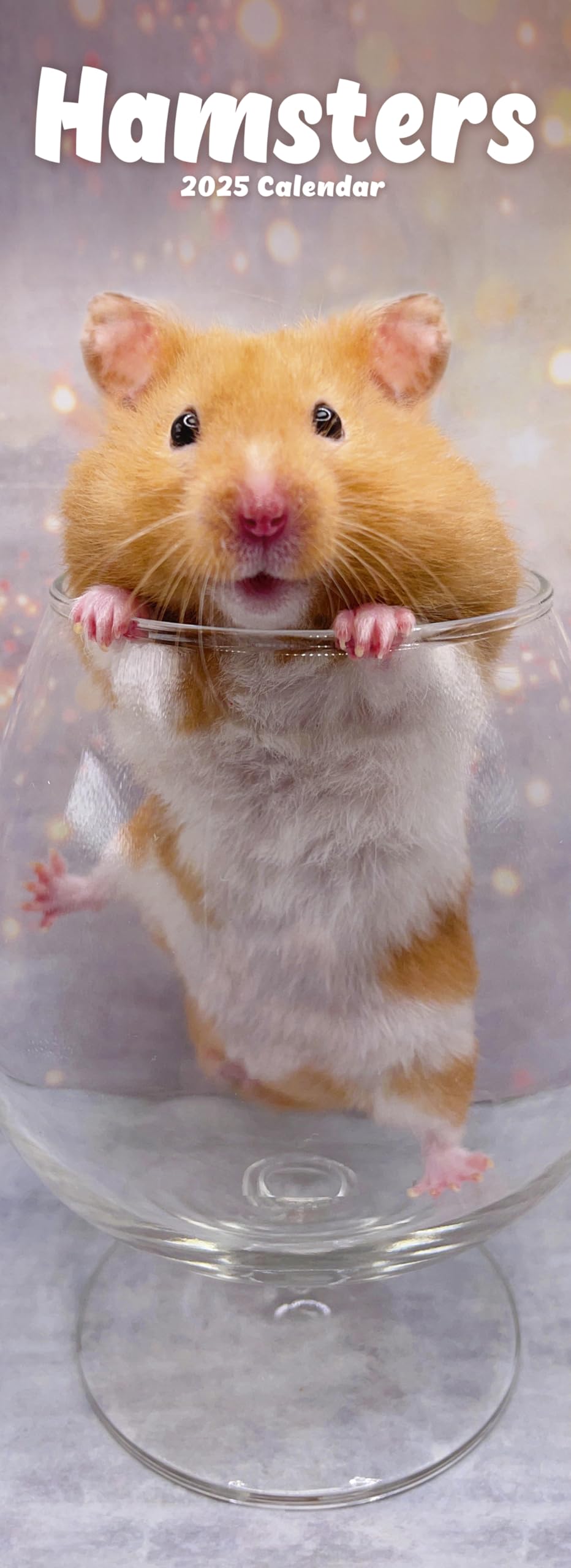 Hamsters Slim 2025 Slimline Wall Calendar | Animal, Pet Calendar ...