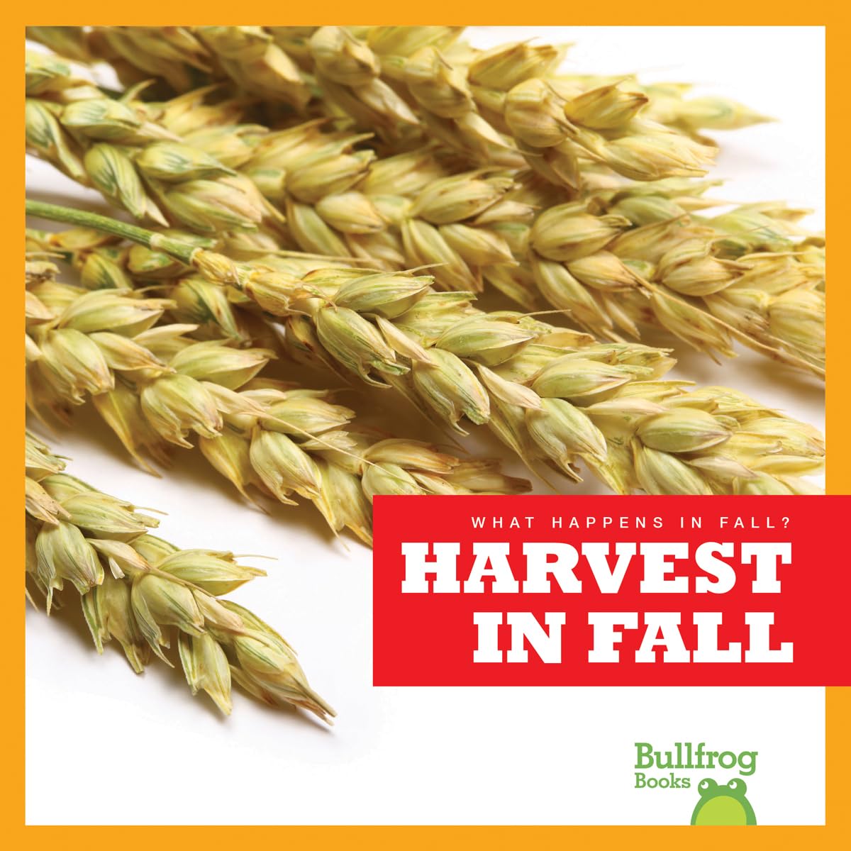 Amazon.com: Harvest in Fall (Bullfrog Books: What Happens in Fall ...