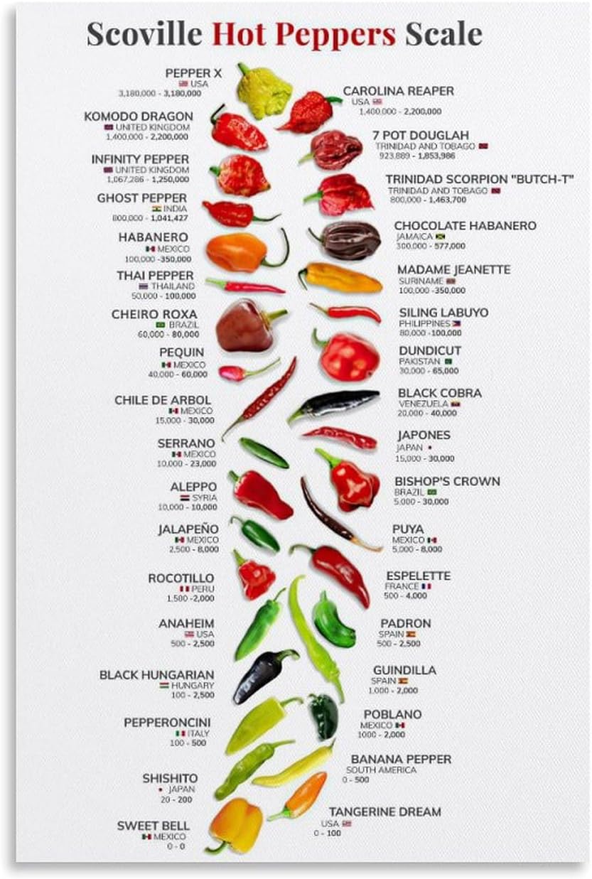 Amazon.com: Scovill Hot Peppers Scale Poster Chilli Capsicum Knowledge ...