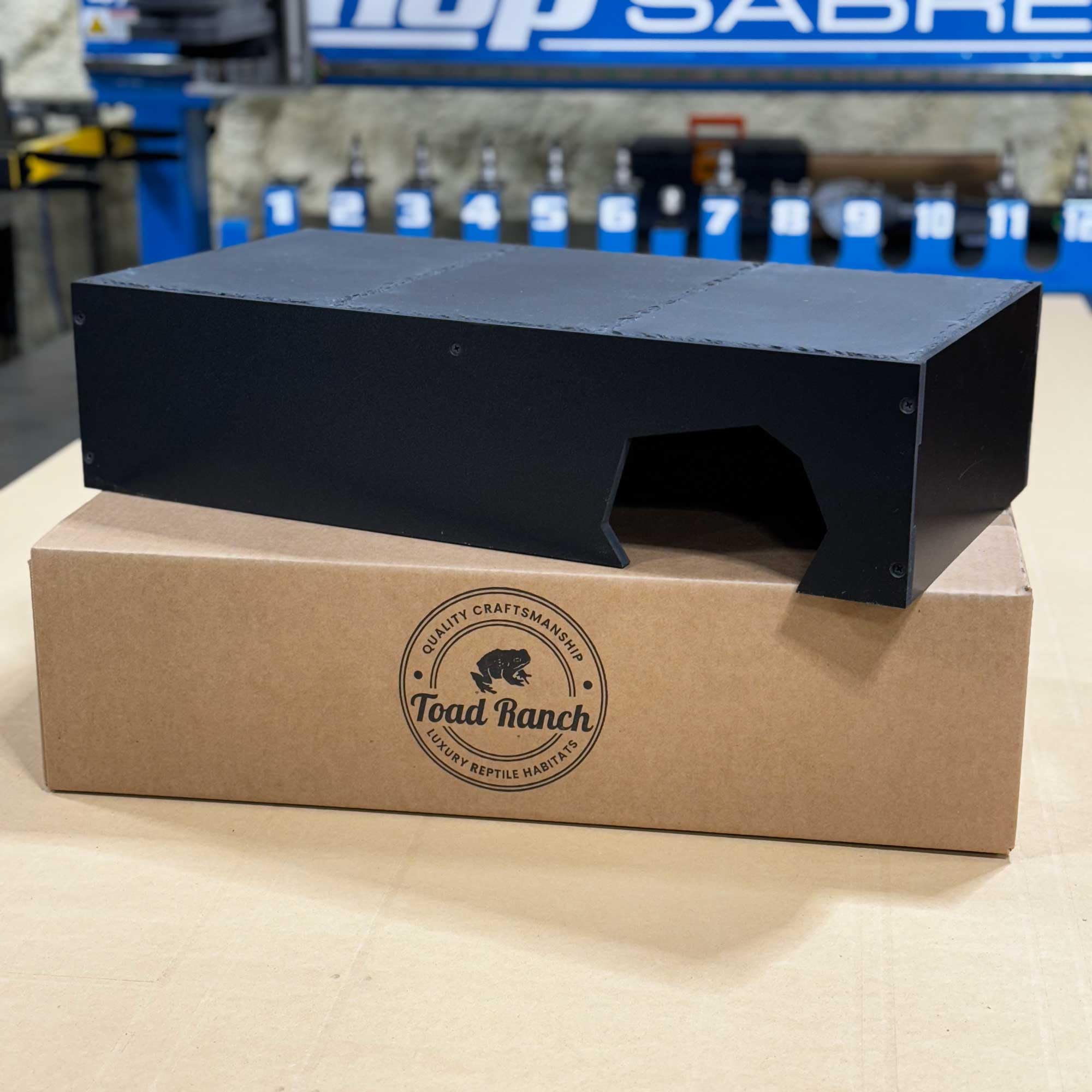 Amazon.com : Bask-N-Hide - Reptile Basking Platform and Hide Box ...