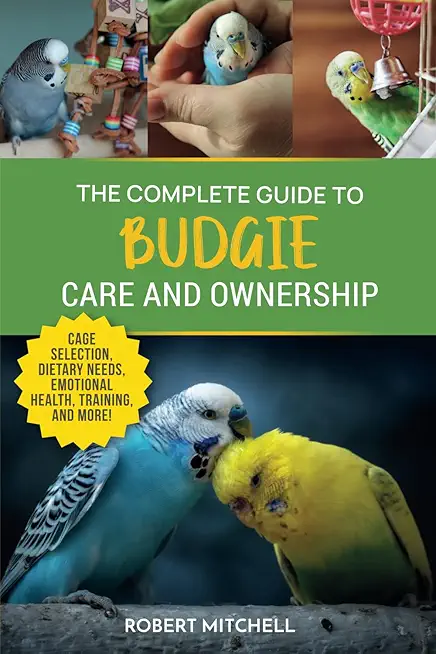 The Ultimate Guide To Training A Budgie And Building A Strong Bond ...