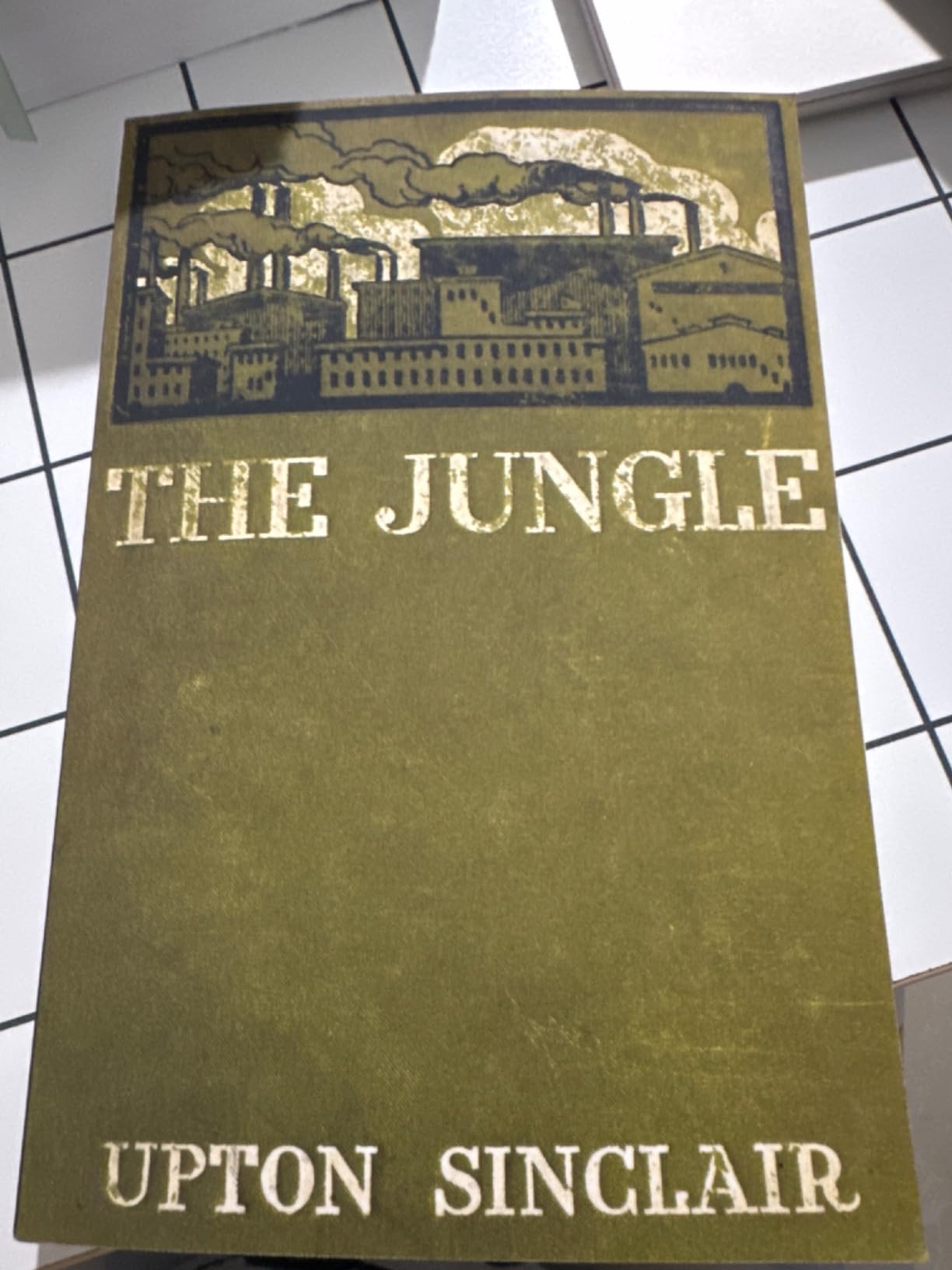 The Jungle: Sinclair, Upton: 9798771012391: Amazon.com: Books