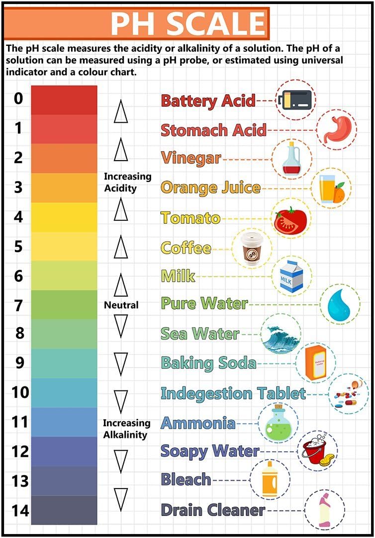 Ph Scale Universal Indicator The PH Scale KS3 Activate Lesson