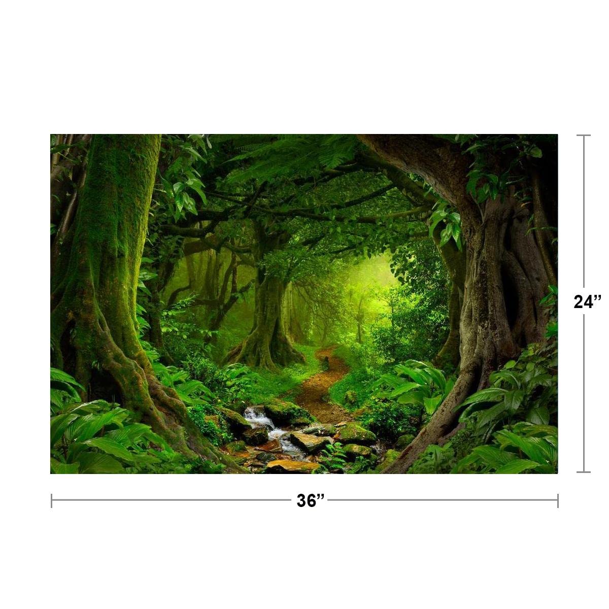 Forest Stream